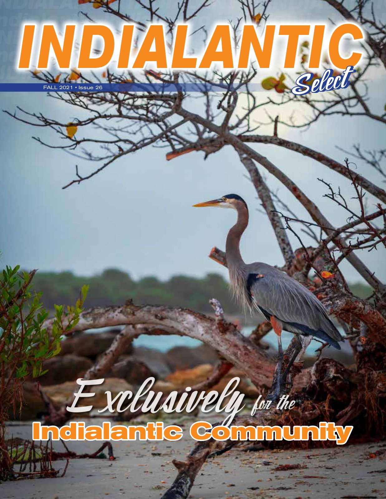 Indialantic Select-Nov 2021