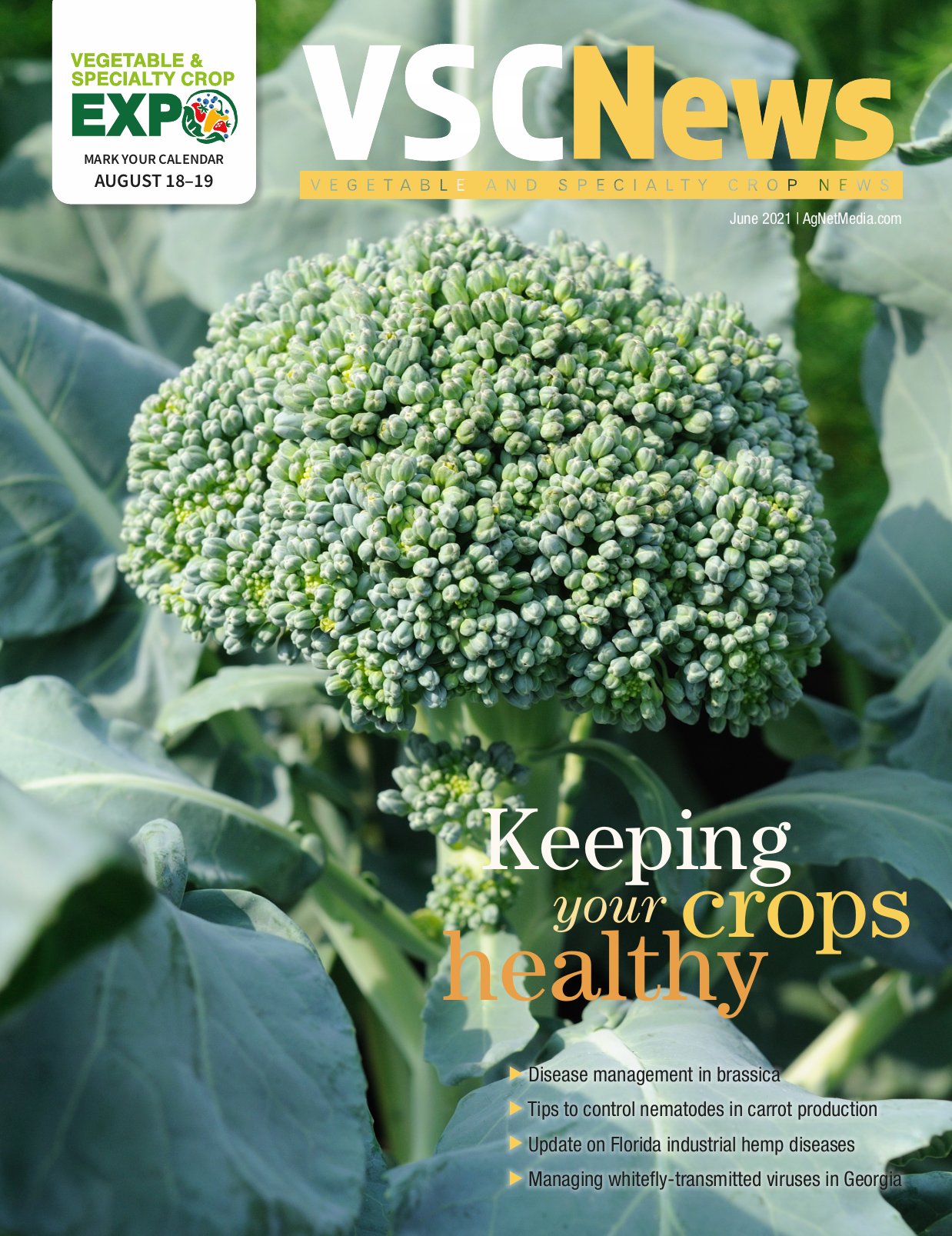 Vegetable & Specialty Crop News-June 2021