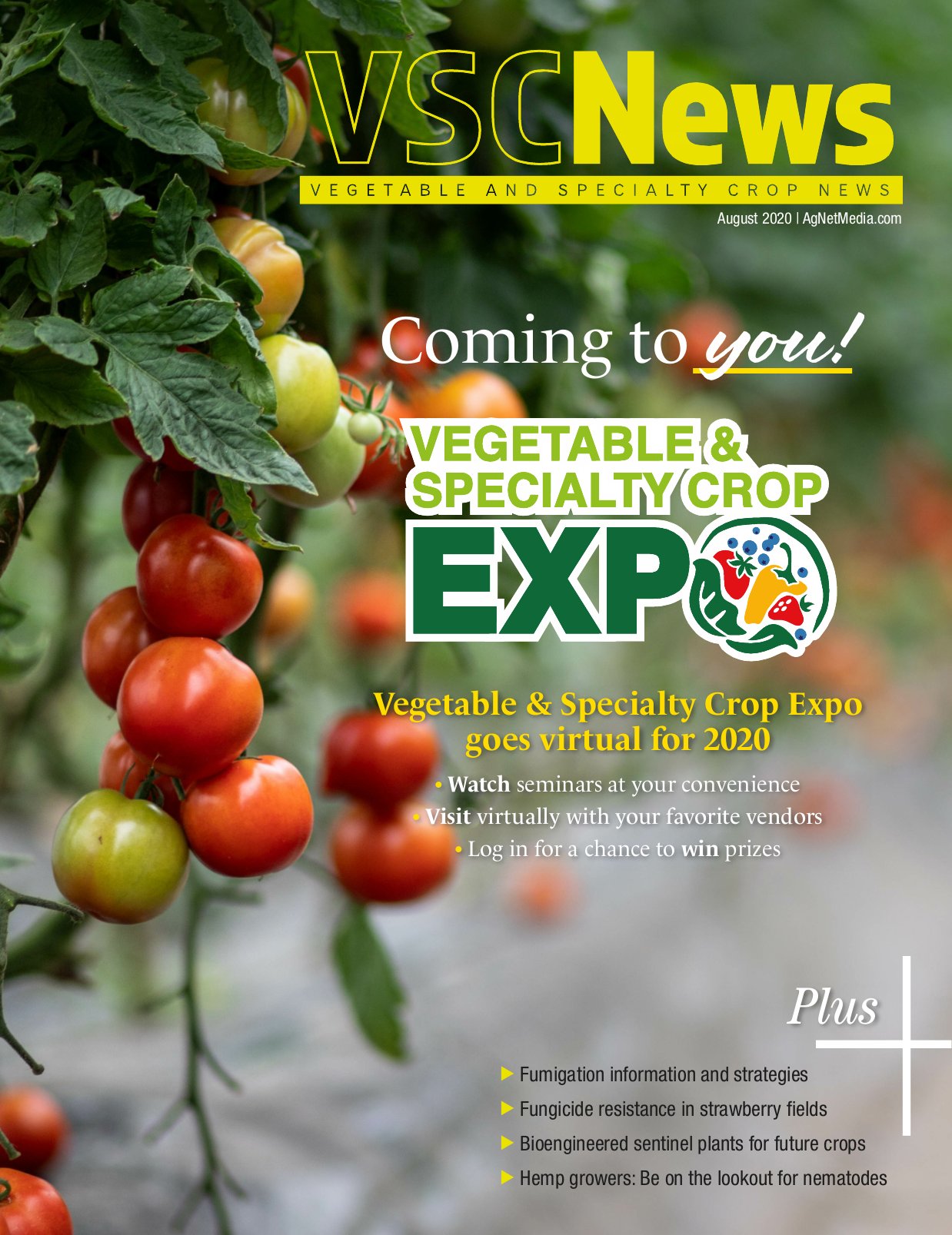 Vegetable & Specialty Crop News magazine-August 2020